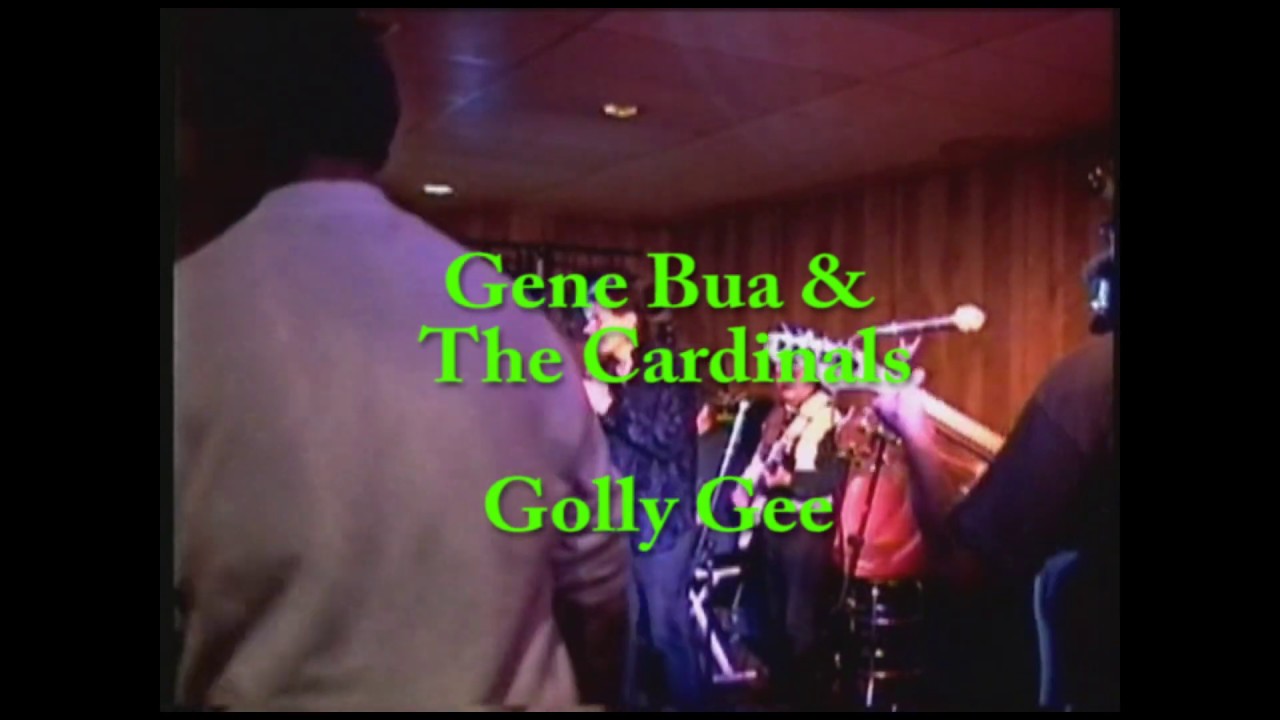 Gene Bua and the Cardinals: Golly Gee - YouTube