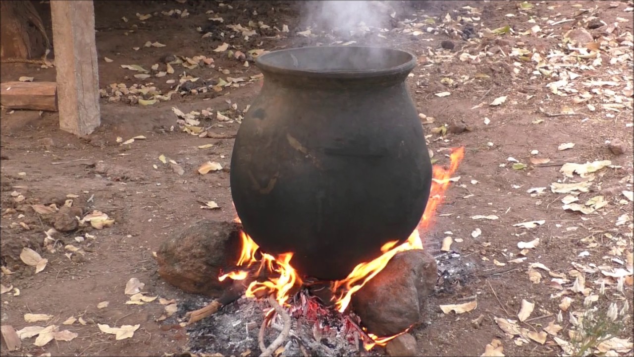 Sarivi leaves tea_Digitalgreen&DoAg,Andhra Pradesh_East Godavari_April ...