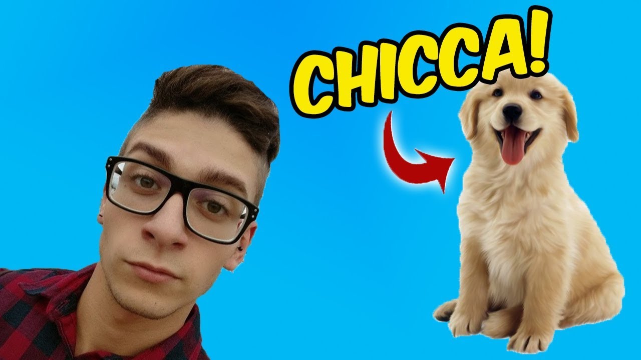 ST3PNY HA UN CANE CHE SI CHIAMA CHICCA! - YouTube