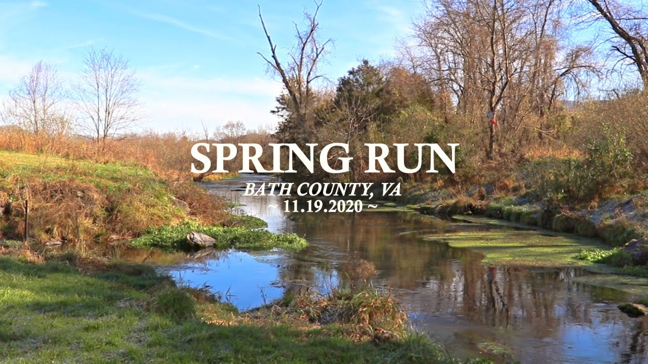 Fly Fishing Spring Run, VA - YouTube