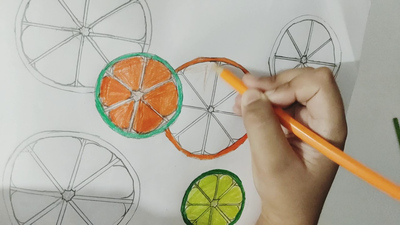 How to draw citrus fruit slices - YouTube