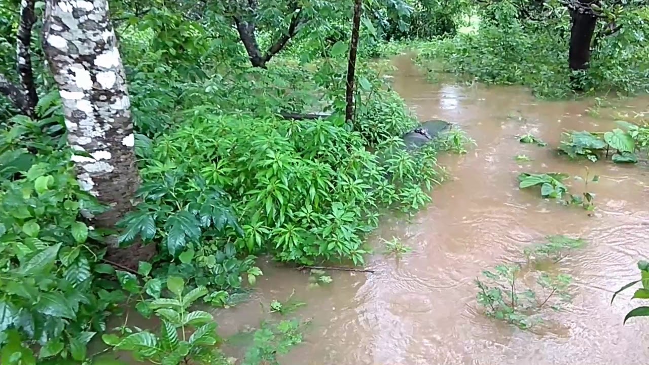 Mhadei / mhadai/ madai/Mahadayi/Mandovi River flood water Goa - YouTube