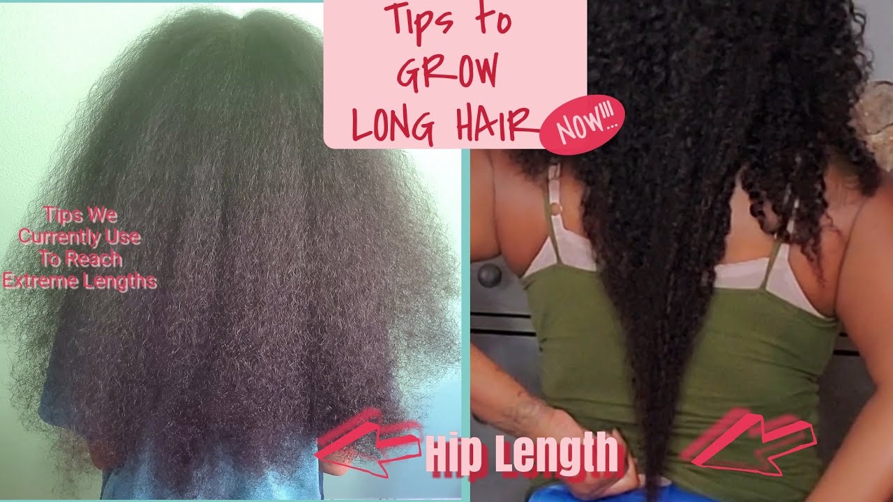 USE THESE MAJOR TIPS TO GROW YOUR HAIR LONG | STEP BY STEP TIPS | HIP ...