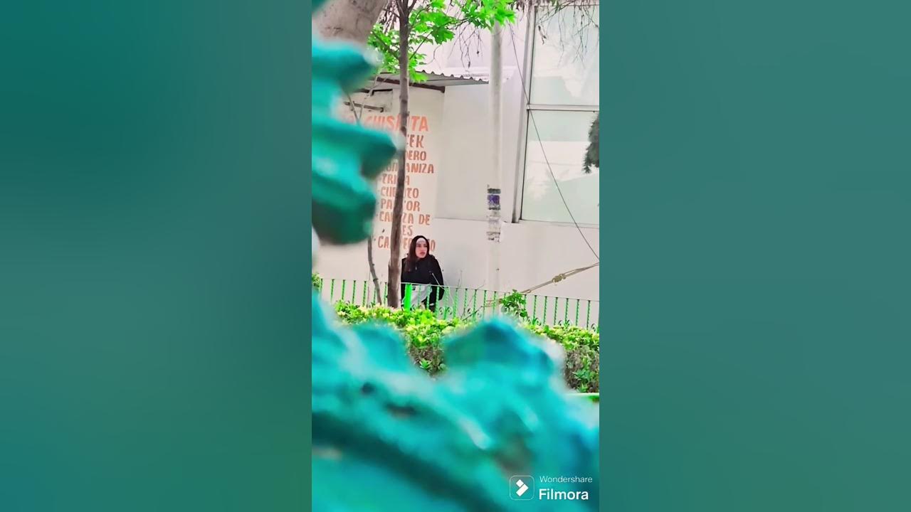 #humor #teamdebrajean #comedia #comedy #amiga #funny #debrajean #art #amigaintensa - YouTube