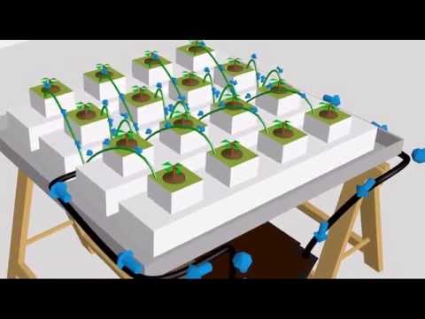 Hydroponics Rockwool - YouTube