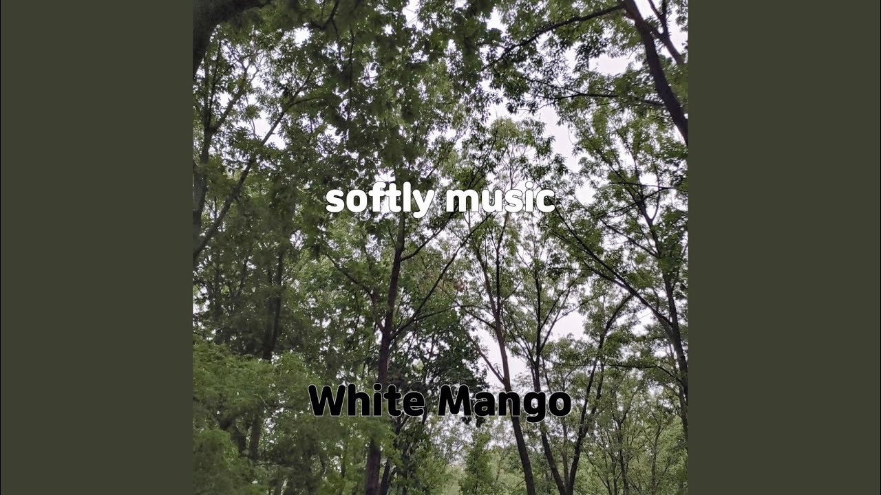 softly music - YouTube