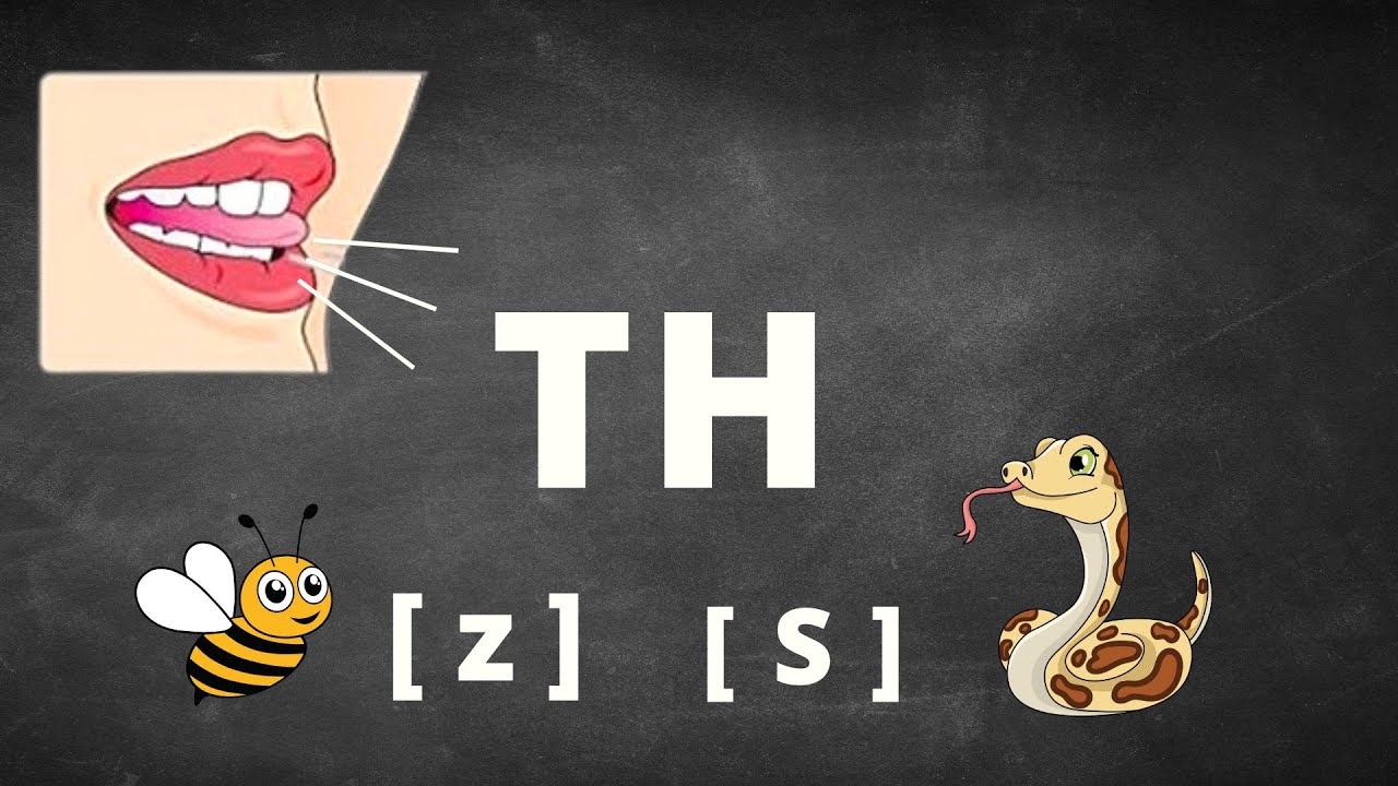 READING RULES - th - - YouTube