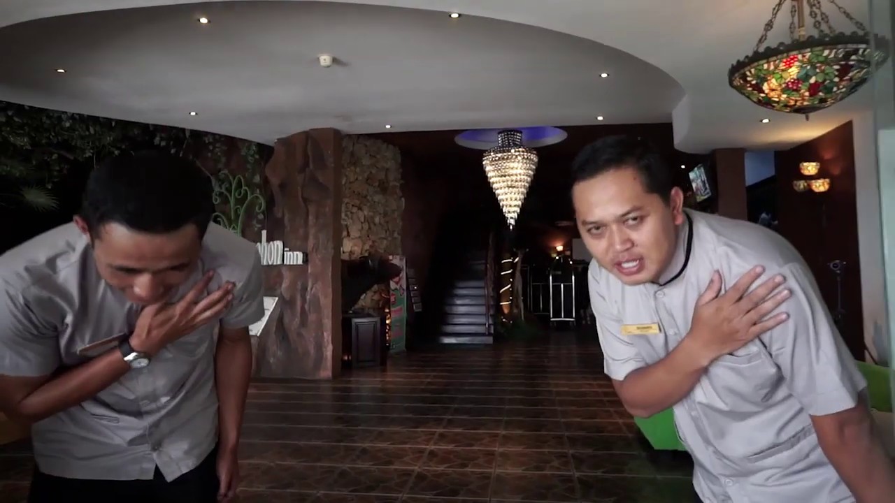 Pohon Inn - Hotel dalam pohon raksasa - YouTube