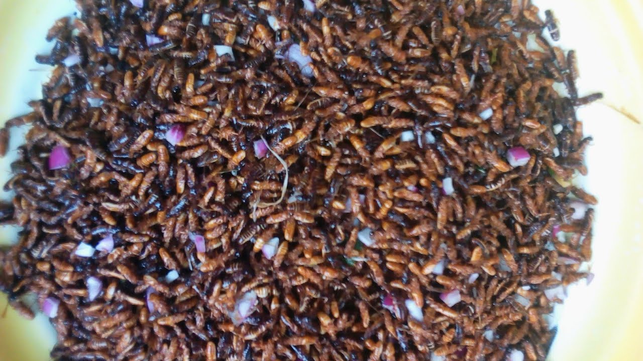 HOW TO PREPARE A VERY DELICIOUS TERMITE CAKE!!! - YouTube