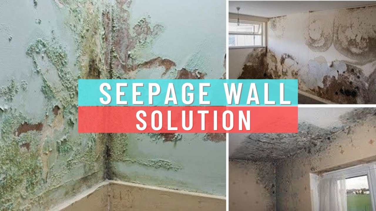 Seepage Wall Solution || How to fix it || Waterproof Wall Paneling ...