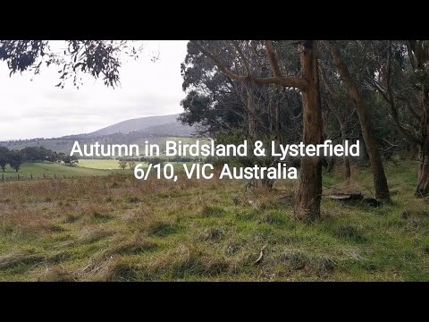 Autumn in Birdsland & Lysterfield 6/10, VIC Australia - YouTube