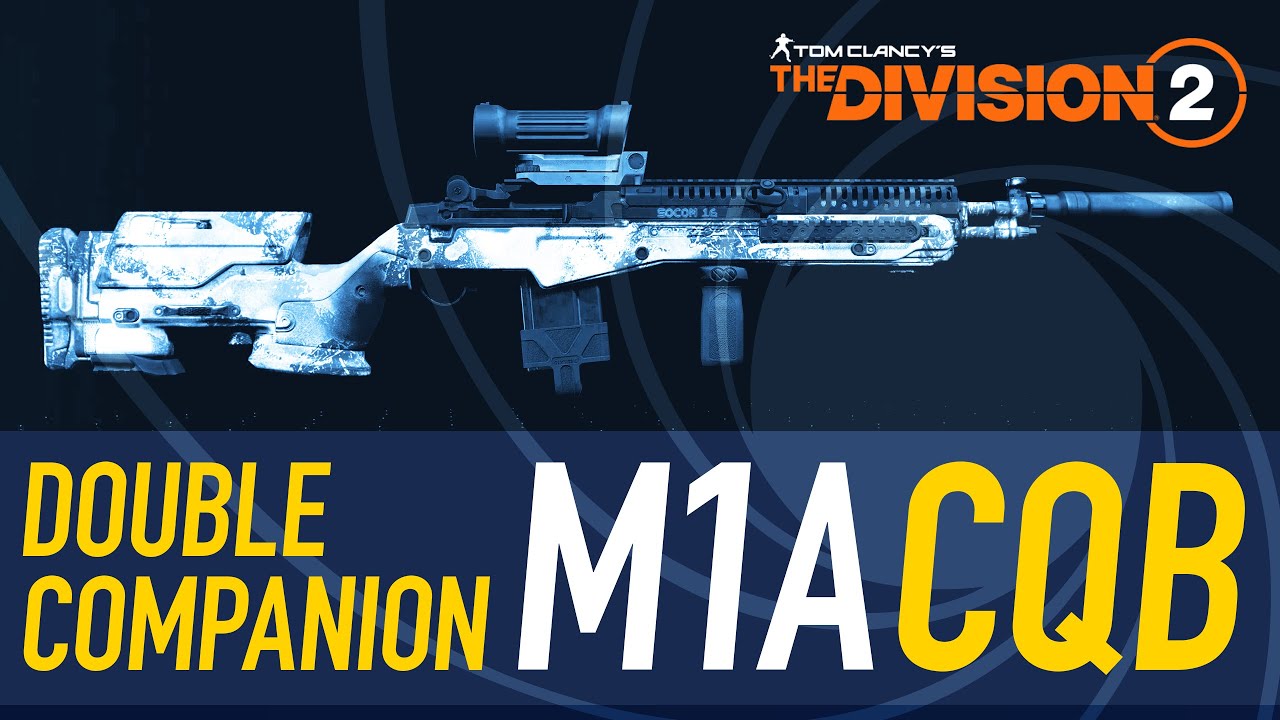The Division 2 / M1A CQB / DOUBLE COMPANION - YouTube