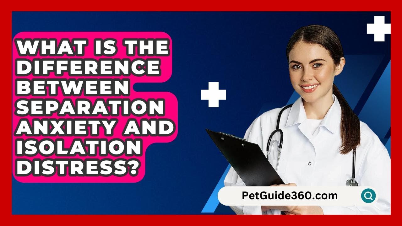 What Is The Difference Between Separation Anxiety And Isolation ...