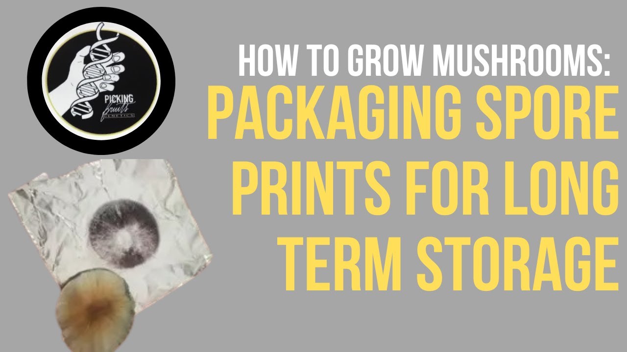 How to Grow Mushrooms: Packaging Spore Prints For Long Term Storage ...
