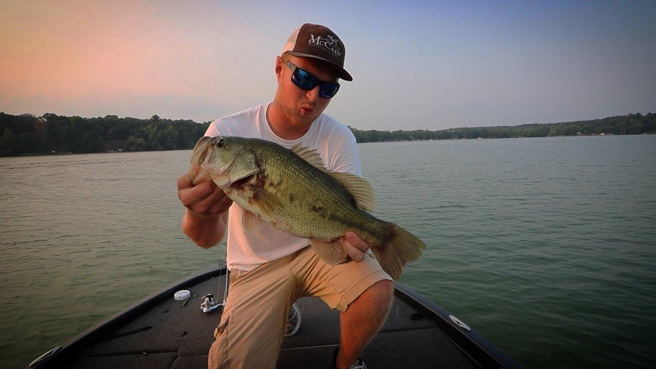 Bass fishing Minnesota (BIG BASS) - YouTube