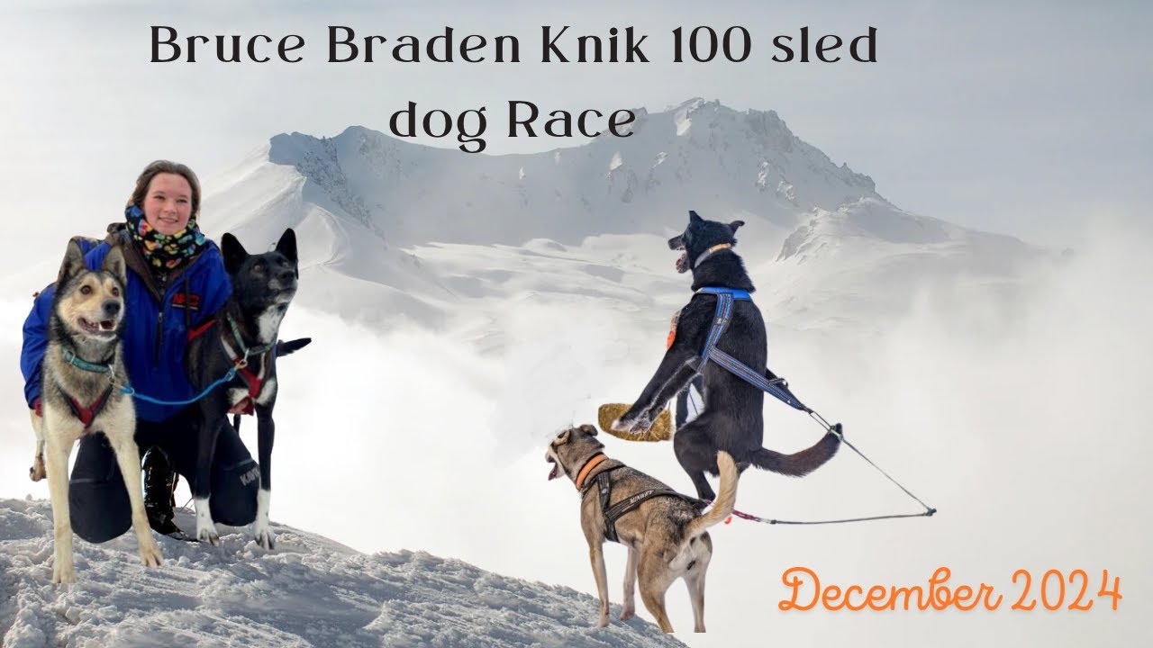 BRUCE BRADEN KNIK 100 MILE SLED DOG RACE. DEC. 2024 - YouTube