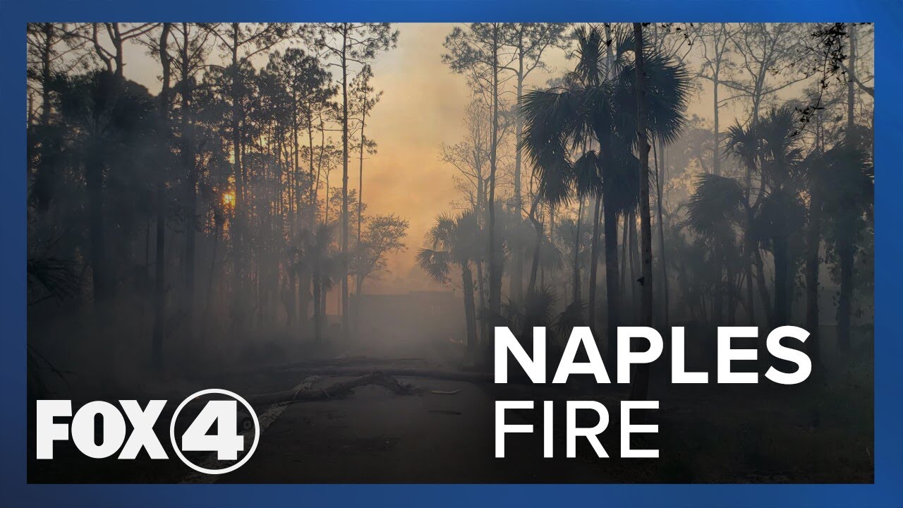 Fire City Naples Fl