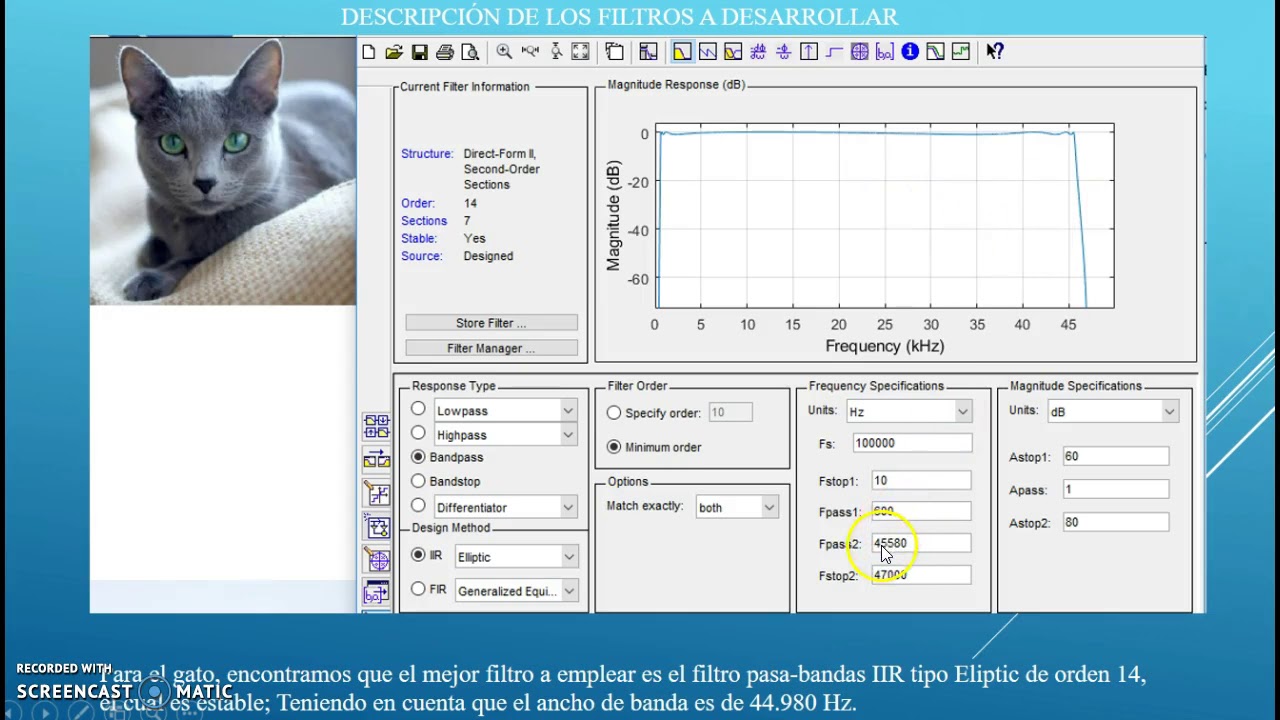 Filtros Digitales-Tratamiento Digital de Señales - YouTube