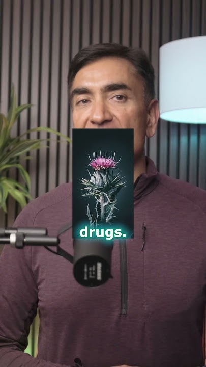 Milk Thistle A Natural Liver Protector Liverhealth Liverdetox Livercleanse Milkthistle