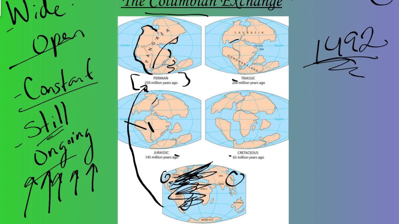 Age of Exploration: Columbian Exchange - YouTube