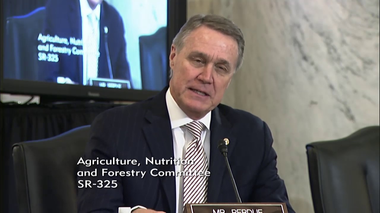 Senator David Perdue Opening Statement On Governor Sonny Perdue - YouTube