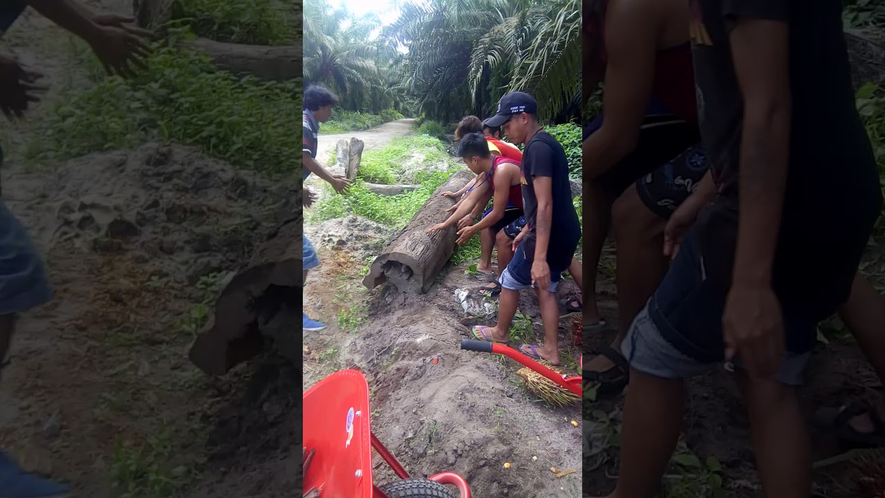 Orang sunda rantau kalimantan - YouTube