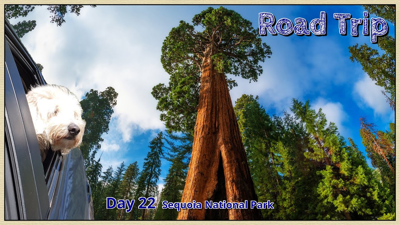 [Day 22] - Road trip! - Sequoia National Park - YouTube