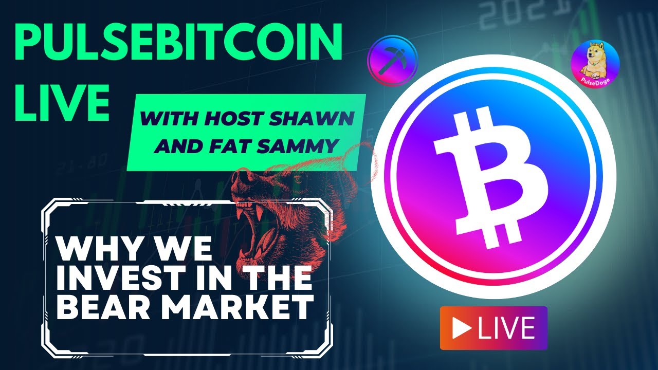 Why We Invest In a 'Bear' Market! - PulseBitcoin LIVE Show Episode 3 - YouTube
