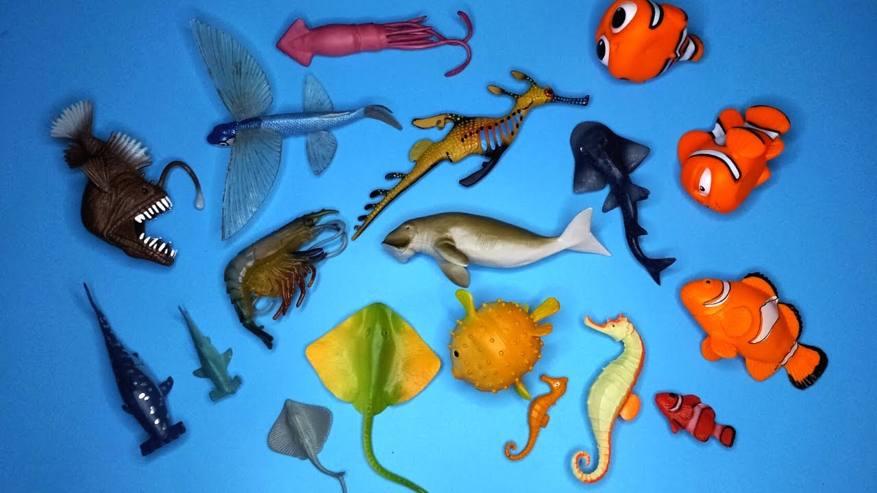 Nama Hewan Laut Ikan Nemo, Torani, Duyung, Dugong, Naga Laut Berdaun ...