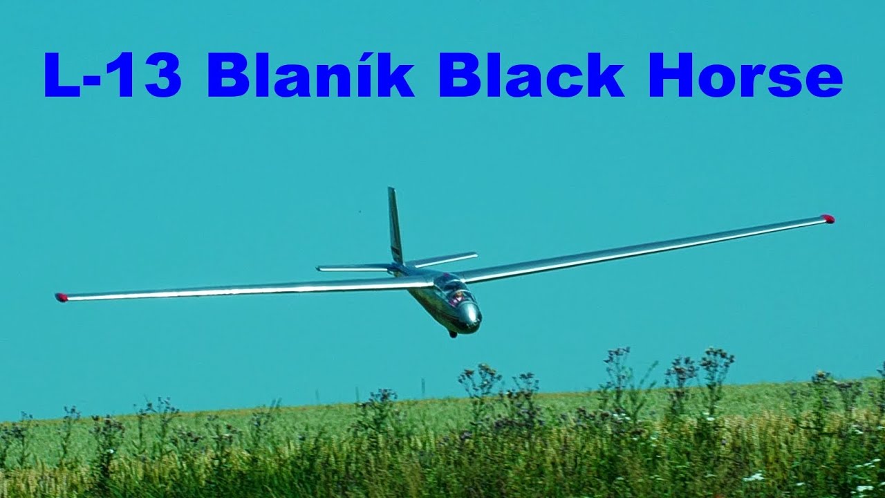 L-13 Blanik Black Horse Model | scale RC glider | 4K | Syrovice 2021 ...