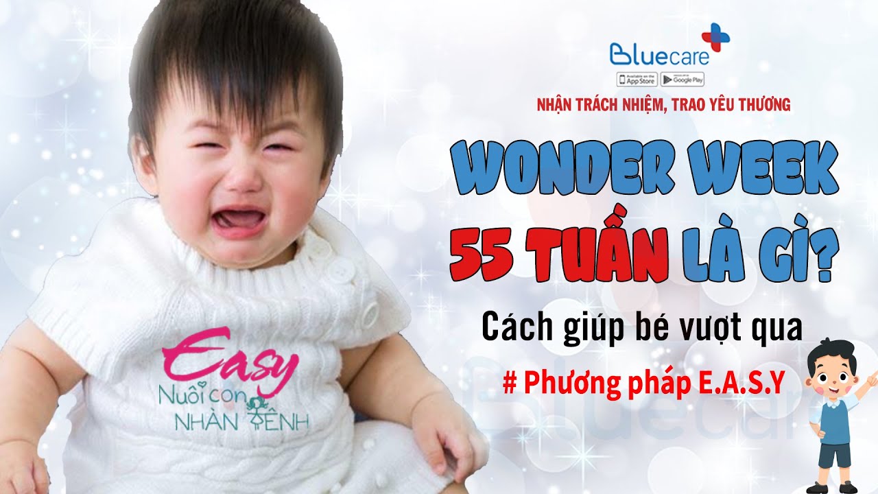 [WW55] WONDER WEEK 55 TUẦN ở trẻ và những điều bạn cần biết Easy Nuôi ...