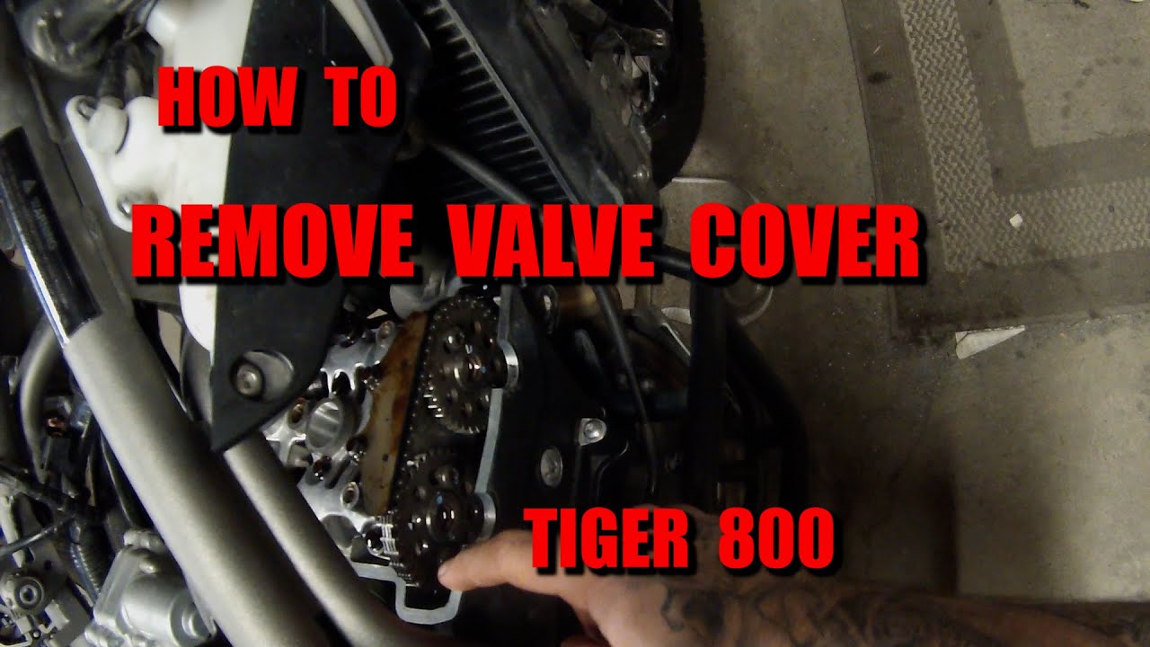 How To Remove Valve Cover On A Tiger 800 - YouTube