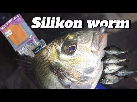 Silikon kurtçuk ile izmir körfezinde çipura avı teknikleri