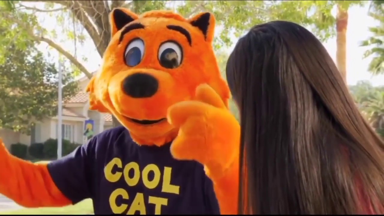 Cool Cat Has A Mental Breakdown - YouTube