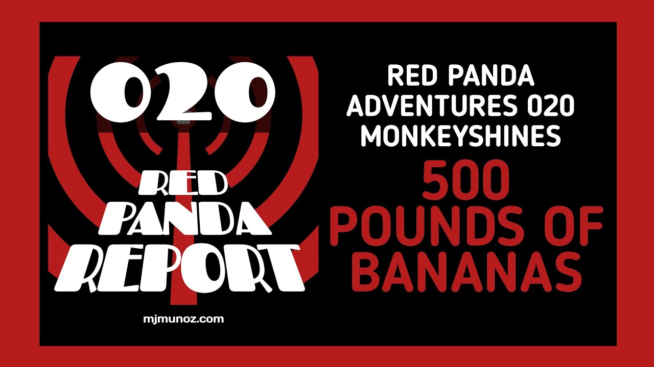 Red Panda Adventures 20 Review |Red Panda Report 020 - YouTube