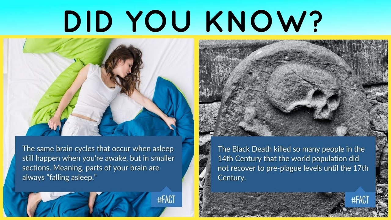 DID YOU KNOW FACTS #120 AMAZING FACTS 😯 INTRESTING FACTS 🤩 RARE FACTS🤠 ...