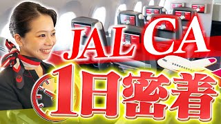 JAL、サブチャンネルはじめました。の人気動画｜YouTubeランキング