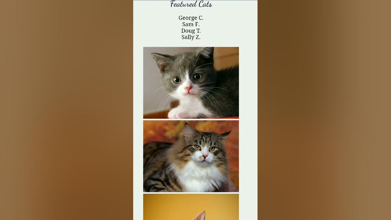 Event Page In Html How To Create Event Page Using Html Css Js Css Rkd Cs