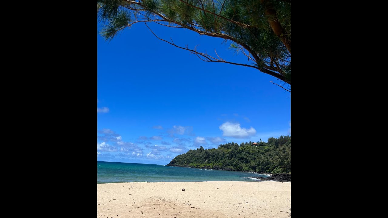 Hawaii '23 - YouTube