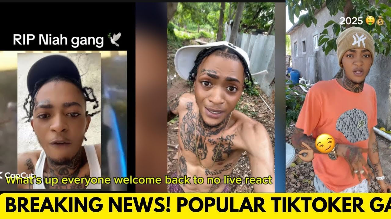 BREAkING NEWS! NIAH GANG NEIGHBOR speaks out WHAT HAPPENED TO NIAH GANG ...