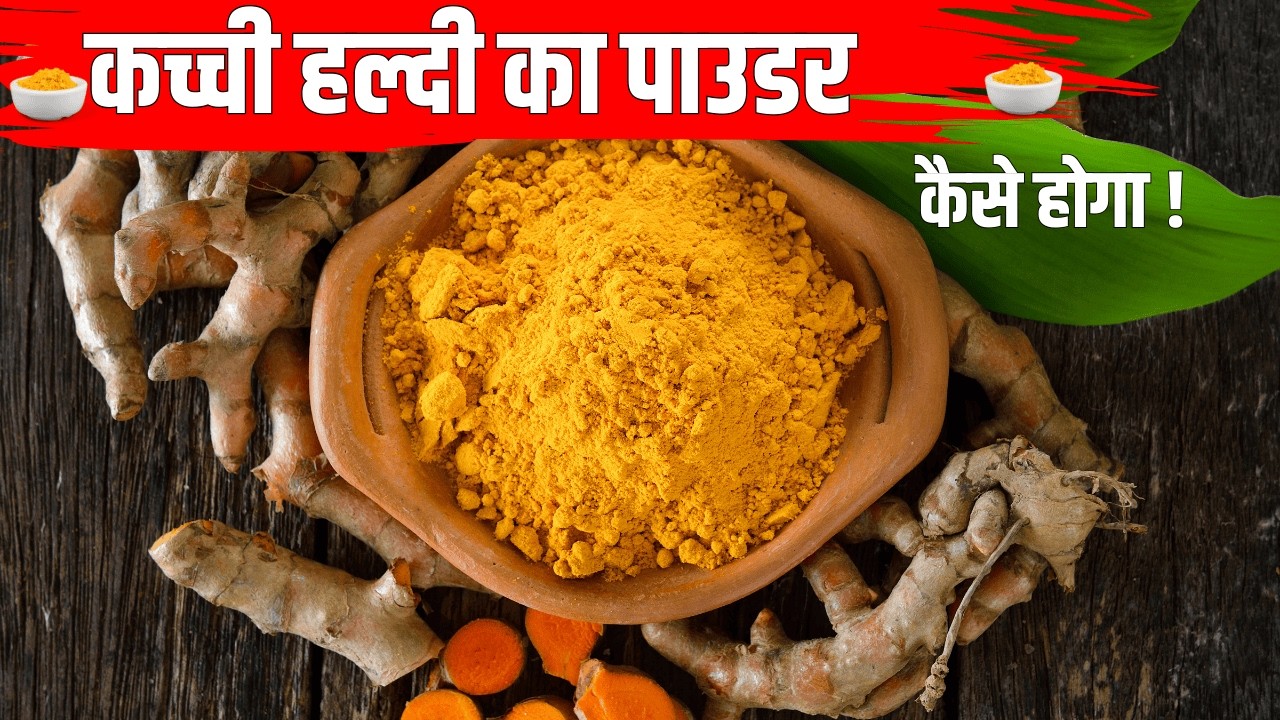 Kachi haldi ka powder kese bnaye !! घर पे बनाये हल्दी पाउडर बाजार से ...
