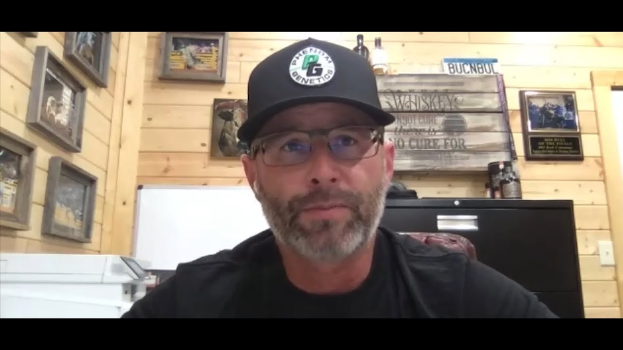 Matt Scharping of Phenom Genetics talks bucking bulls, animal care ...