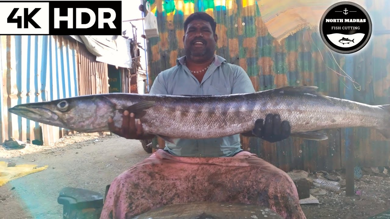 15KG SHEELA FISH/SPEED RAJA FISH CUTTING VIDEO/#kasimedufihcutting # ...