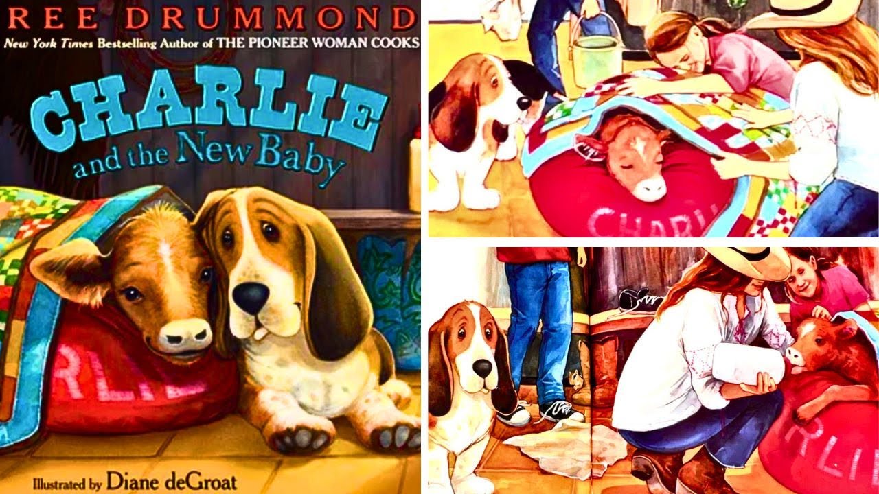 Charlie and the New Baby (dash of humor, love, siblinghood, and ...