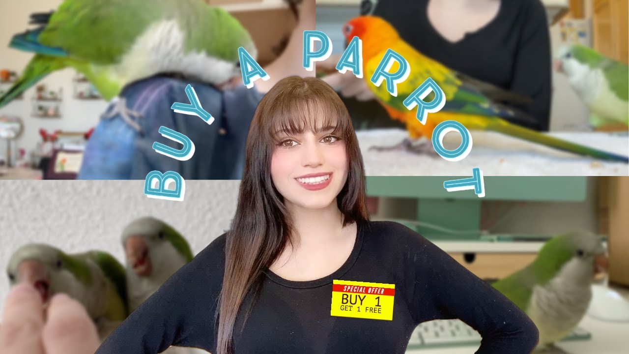 Honest Parrot Commercial - YouTube