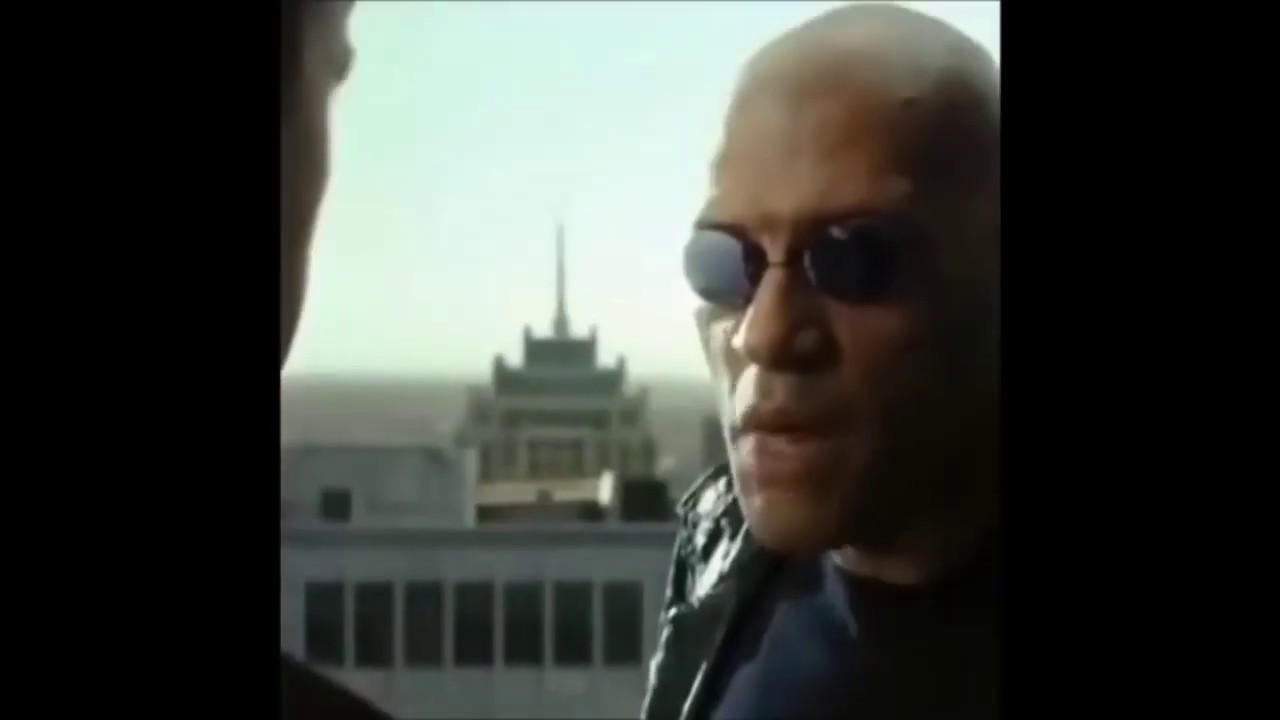 Free Your Mind Meme - YouTube