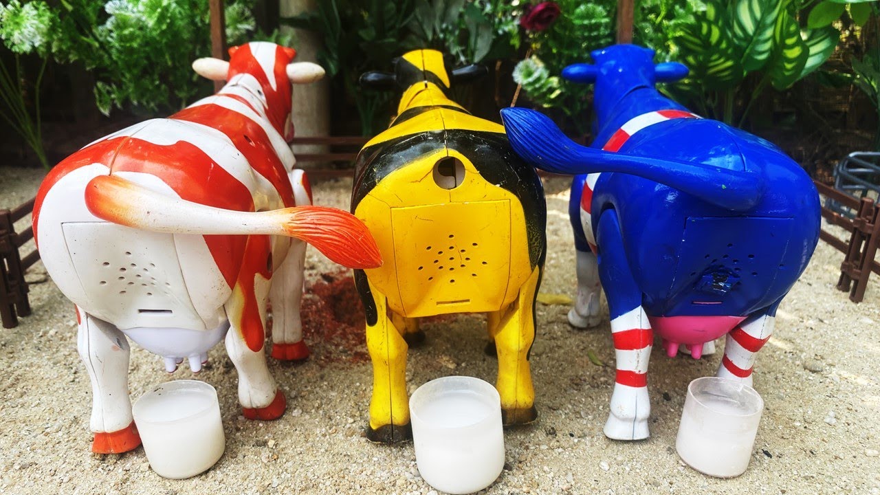 WADIDAU..‼️ PROSES POTONG SAPI QURBAN || PROSES PERA5 SUSU SAPI ...