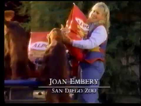 Alpo commercial (1992) - YouTube