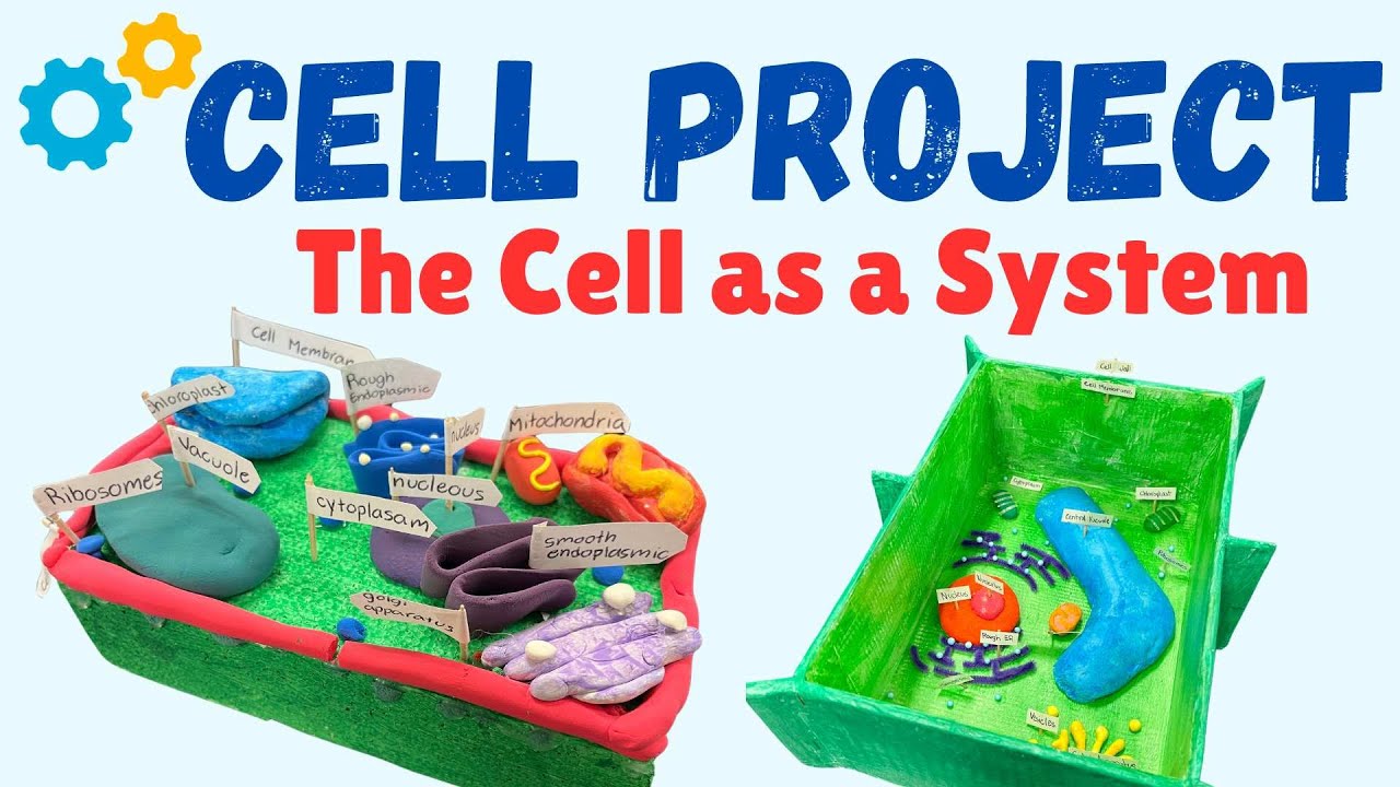 The Cell Project | Understanding the Cell as a System - YouTube