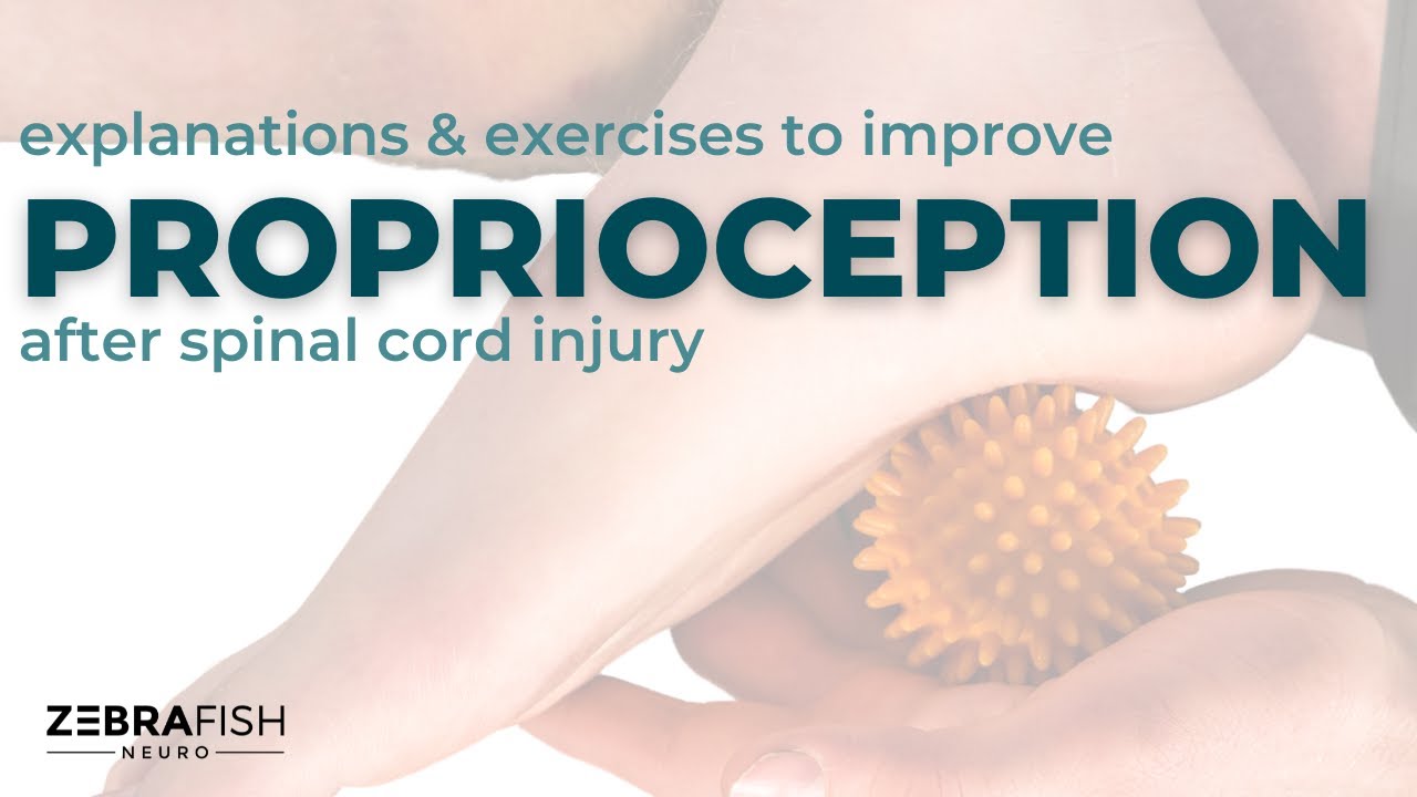 Explanations & exercises to improve proprioception after spinal cord ...